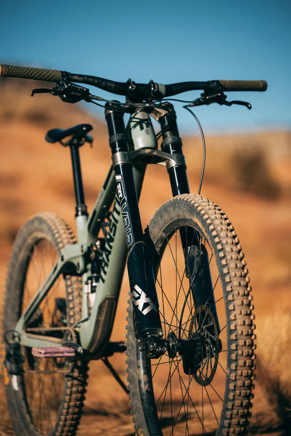 EXT Vaia DH/Enduro Fork – ION² Progression Suspension